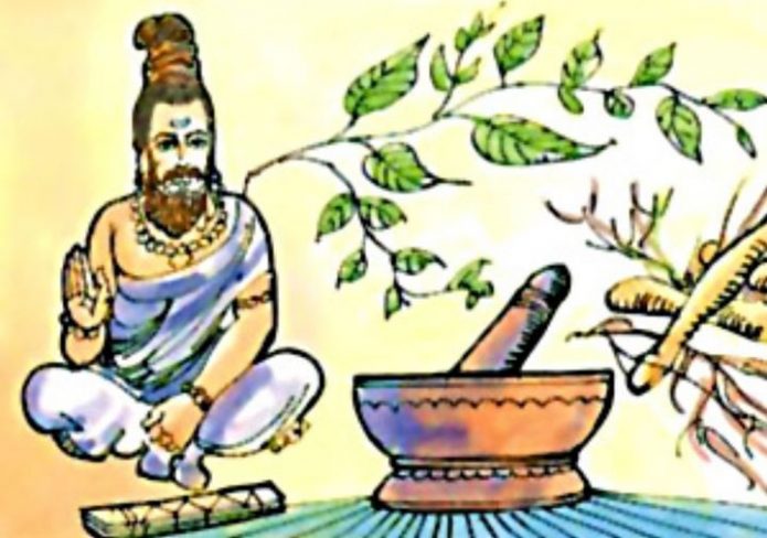 Soma plant – Hindu Scriptures | Vedic lifestyle, Scriptures, Vedas ...